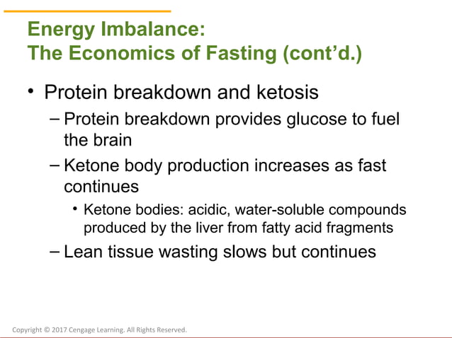 Chapter 6: Energy Balance and Body Composition | PPT