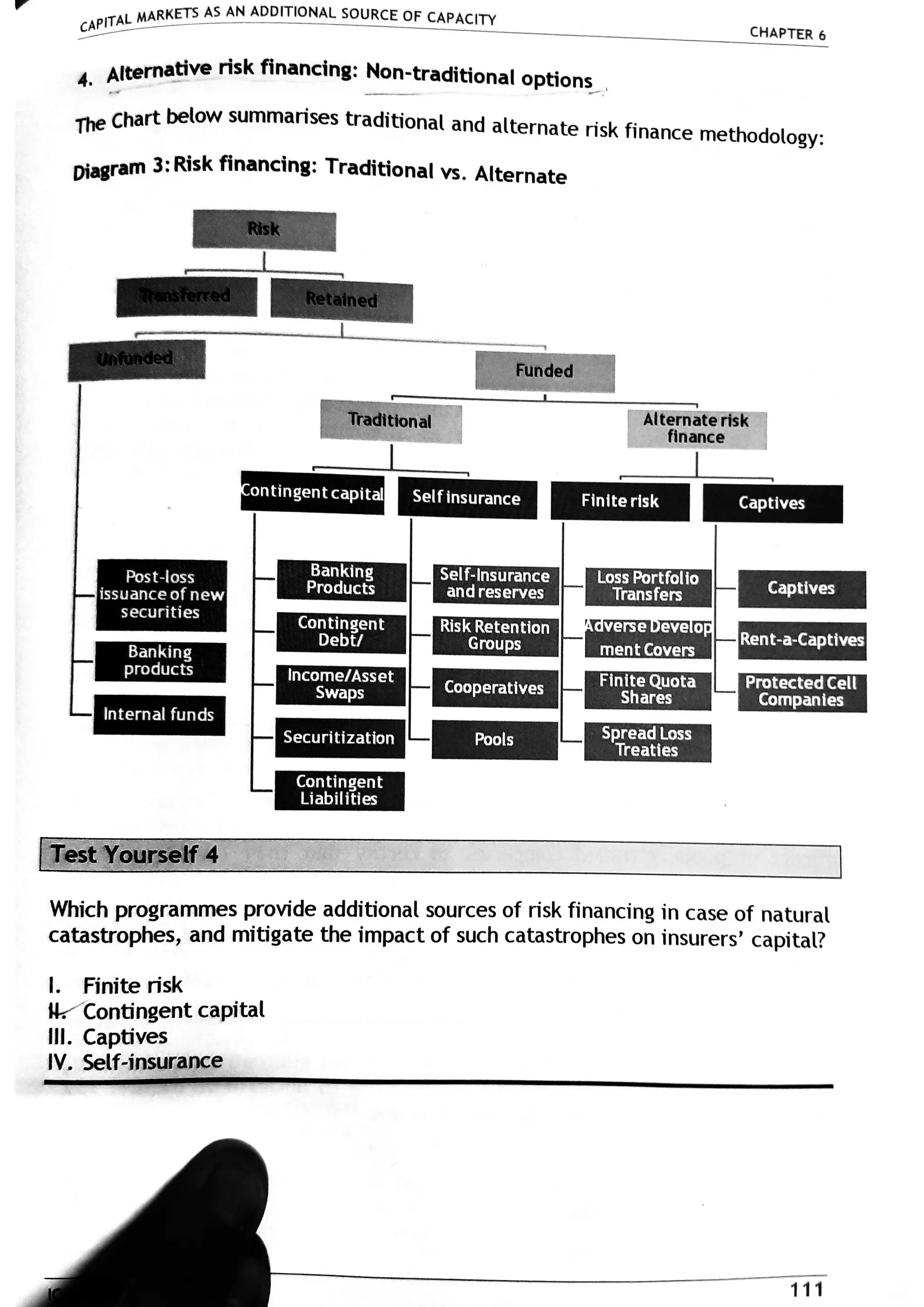 IC-86 Risk Management | PDF