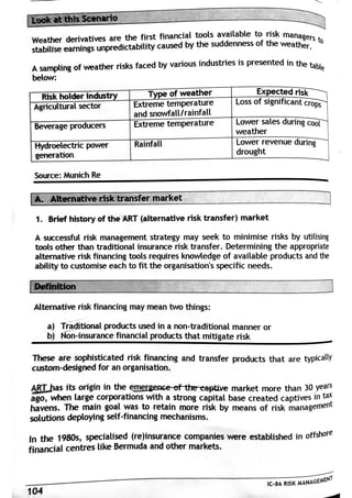 IC-86 Risk Management | PDF