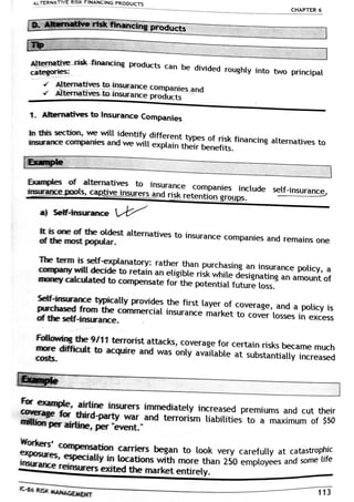 IC-86 Risk Management | PDF