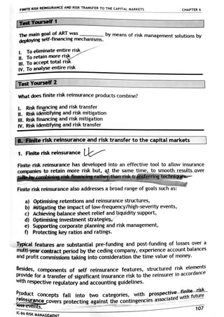 IC-86 Risk Management | PDF