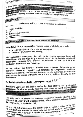 IC-86 Risk Management | PDF