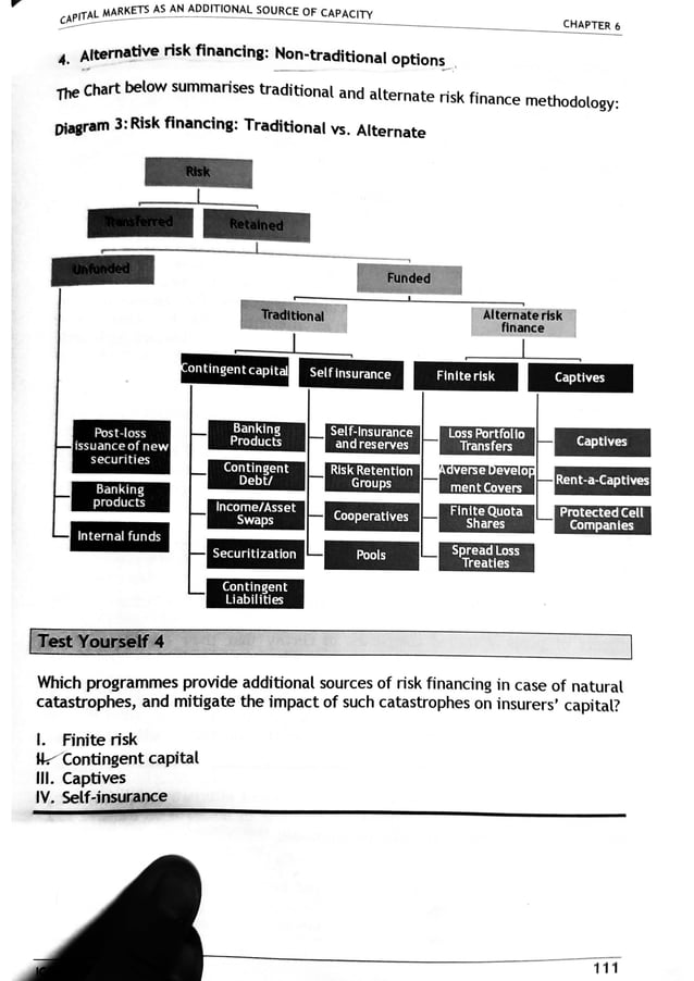 IC-86 Risk Management | PDF