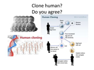 Chapter 6.3 modern genetics | PPT