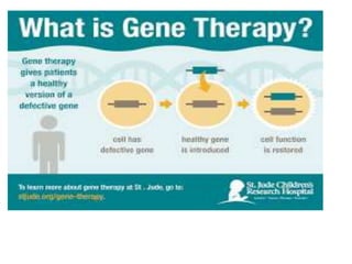 Chapter 6.3 modern genetics | PPT