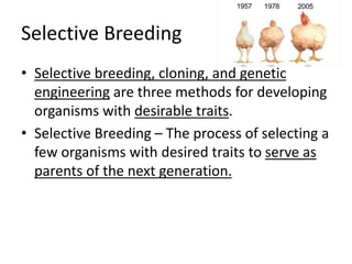 Chapter 6.3 modern genetics | PPT