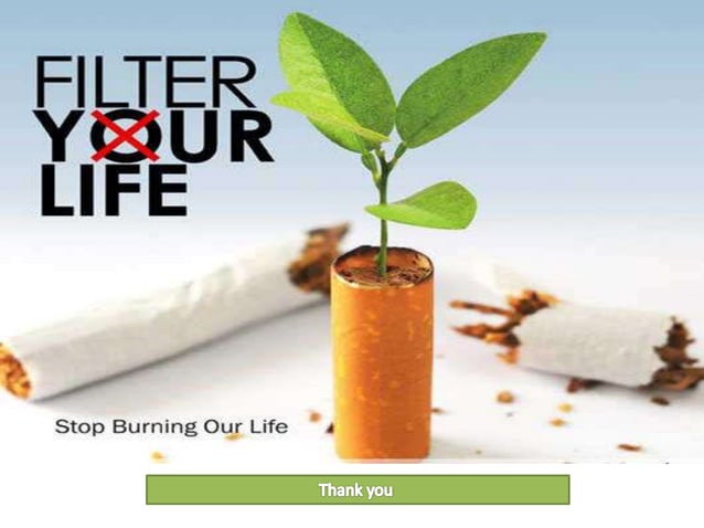 Chapter 6.1 national tobacco control program | PPTX | Illegal Drugs ...