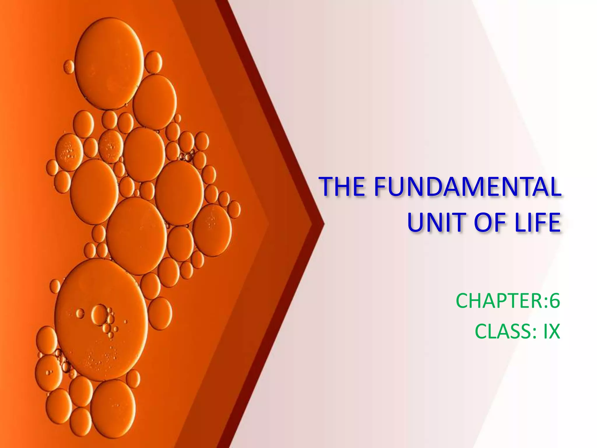 fundamental unit of life | PPTX