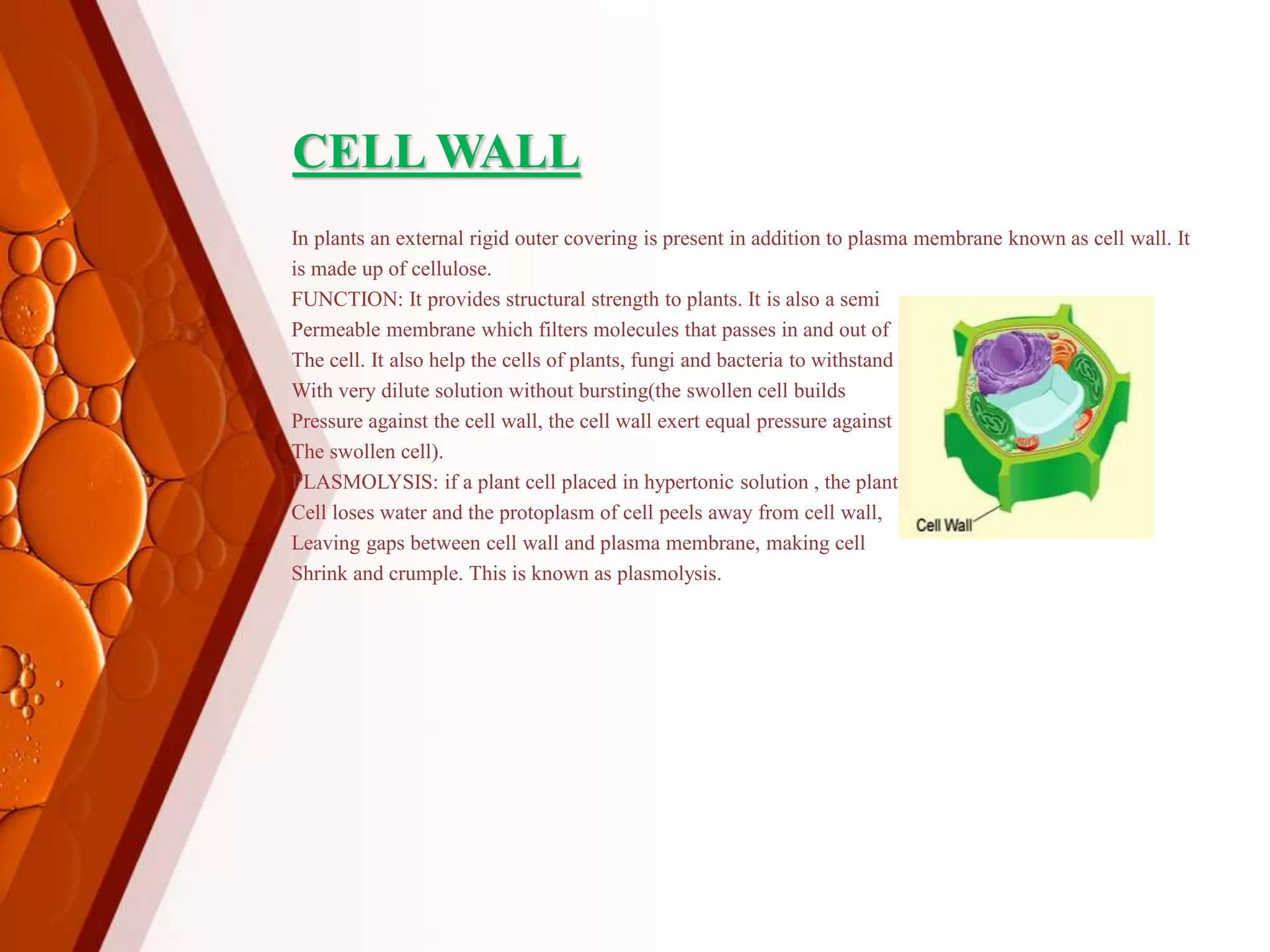 fundamental unit of life | PPTX