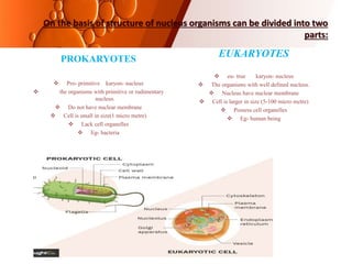 fundamental unit of life | PPT