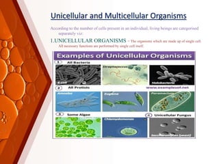 fundamental unit of life | PPTX