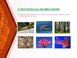 fundamental unit of life | PPTX