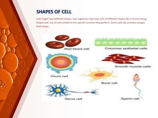 fundamental unit of life | PPTX