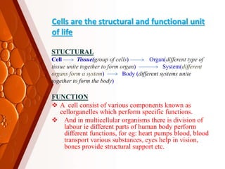 fundamental unit of life | PPT