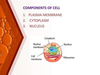 fundamental unit of life | PPTX
