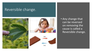 changes around us class 6 ppt | PPTX