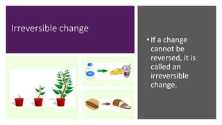 changes around us class 6 ppt | PPTX