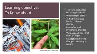 changes around us class 6 ppt | PPTX