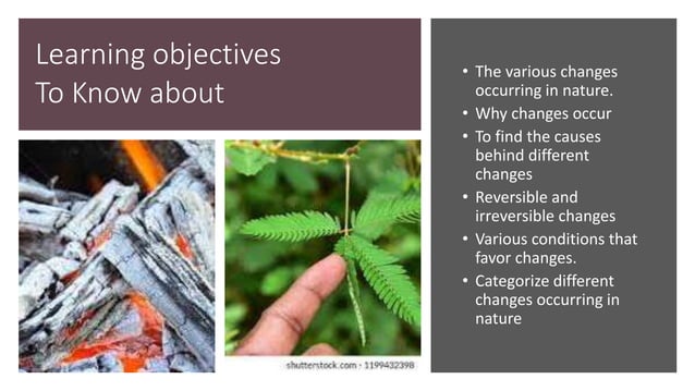 changes around us class 6 ppt | PPTX | Chemistry | Science