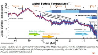 The earliest (Precambrian) history of the earth's crust | PDF