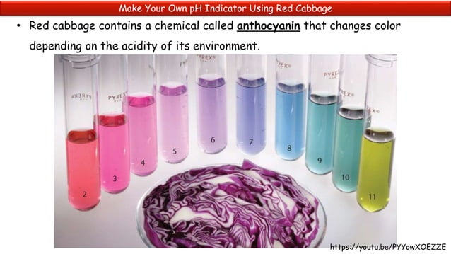 chapter 6.2. Neutralisation (Acid and Alkali) | PPTX