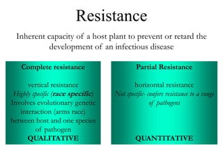 chapter 6 .plant disease resistance 5311285.ppt