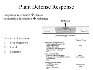 chapter 6 .plant disease resistance 5311285.ppt