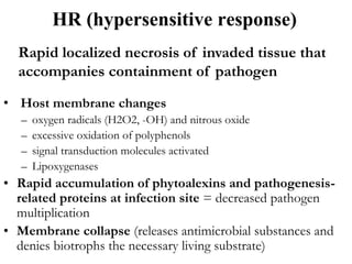 chapter 6 .plant disease resistance 5311285.ppt