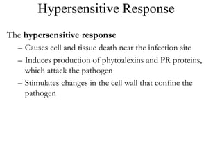 chapter 6 .plant disease resistance 5311285.ppt
