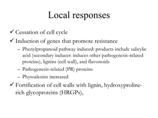 chapter 6 .plant disease resistance 5311285.ppt