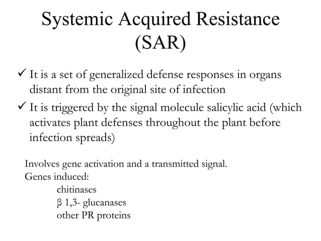 chapter 6 .plant disease resistance 5311285.ppt