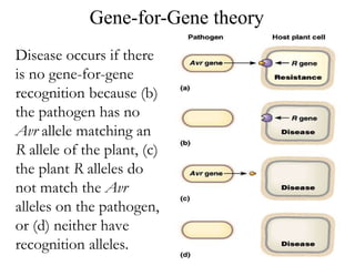 chapter 6 .plant disease resistance 5311285.ppt