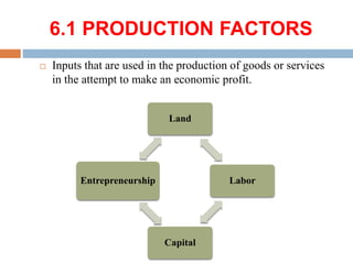 Microeconomics - Theory of Production.pptx