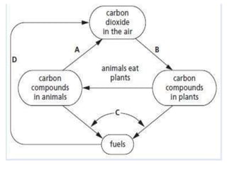 carbon and organic compounds chapter 6.pptx