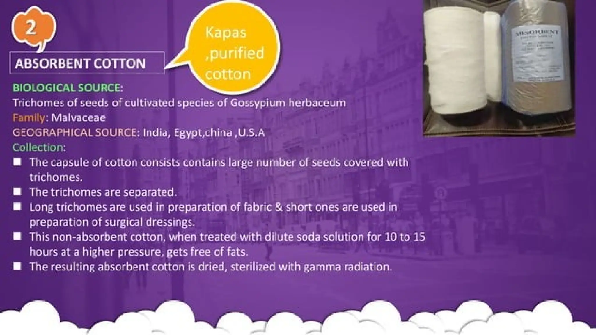 Natural fibers (plant and Animal fibers ) | PPTX