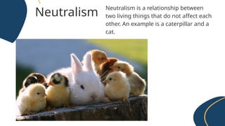 CHAPTER 6 ecology and biodiversity .pptx