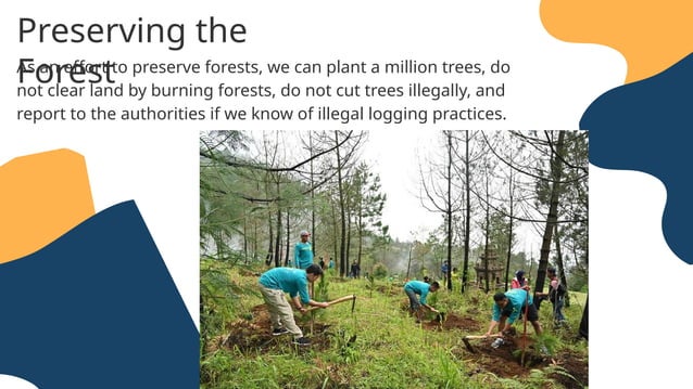 CHAPTER 6 ecology and biodiversity .pptx