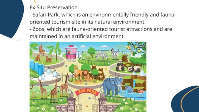 CHAPTER 6 ecology and biodiversity .pptx