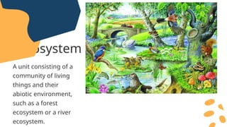 CHAPTER 6 ecology and biodiversity .pptx