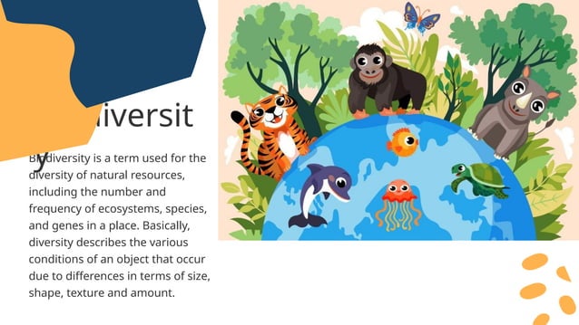 CHAPTER 6 ecology and biodiversity ggg.pptx