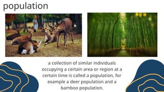 CHAPTER 6 ecology and biodiversity ggg.pptx