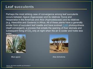 Chapter 6 7 ecology | PPT