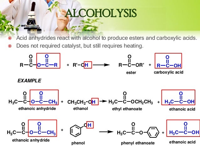 Chapter 6 acid anhydride
