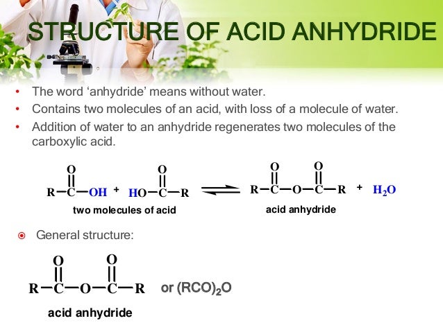 Chapter 6 acid anhydride