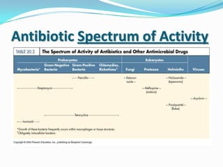 Chapter 6 antimicrobial drugs | PPTX