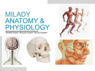 Chapter 6 A & P | PPTX