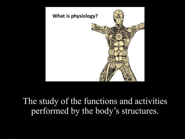 Chapter 6 A & P | PPTX