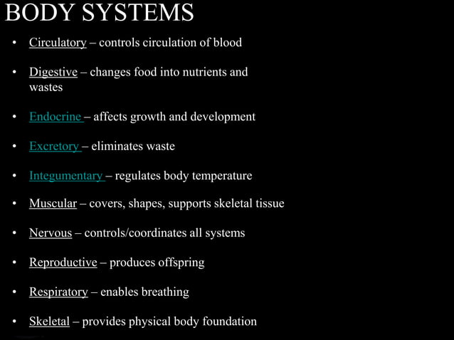 Chapter 6 A & P ( updated ) | PPTX