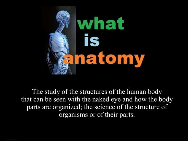 Chapter 6 A & P ( updated ) | PPTX