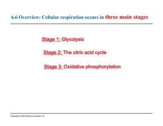 Chapter 6 cell energy [compatibility mode] | PDF